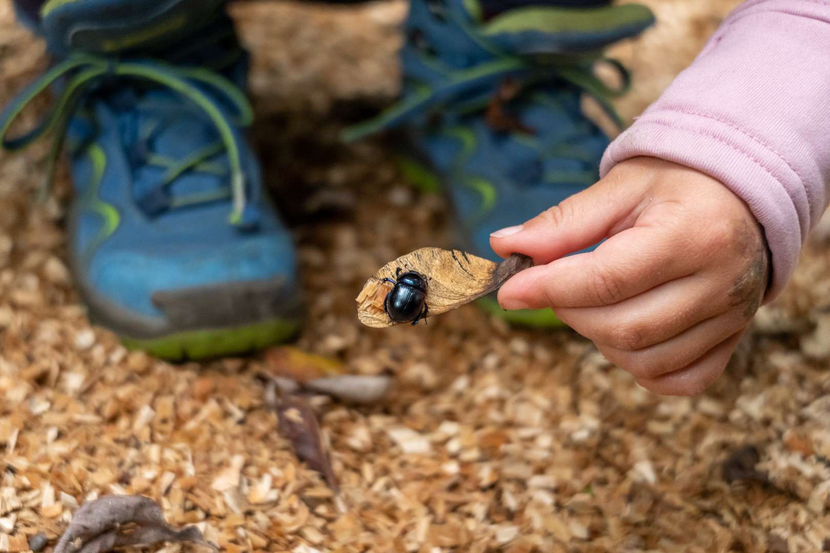 Mit Kindern rausgehen: 13 Ideen für Outdoor-Aktivitäten