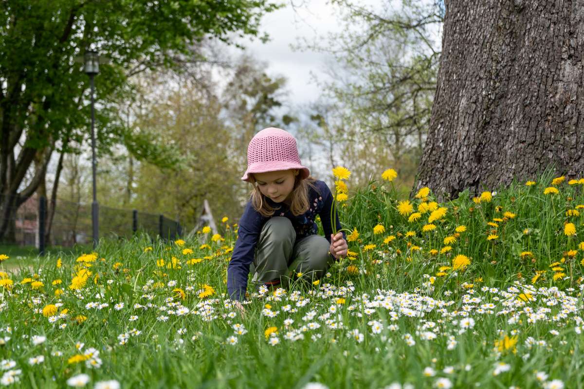 Übersee am Chiemsee: Kurztrip mit Kindern auf die Beste-Wiese